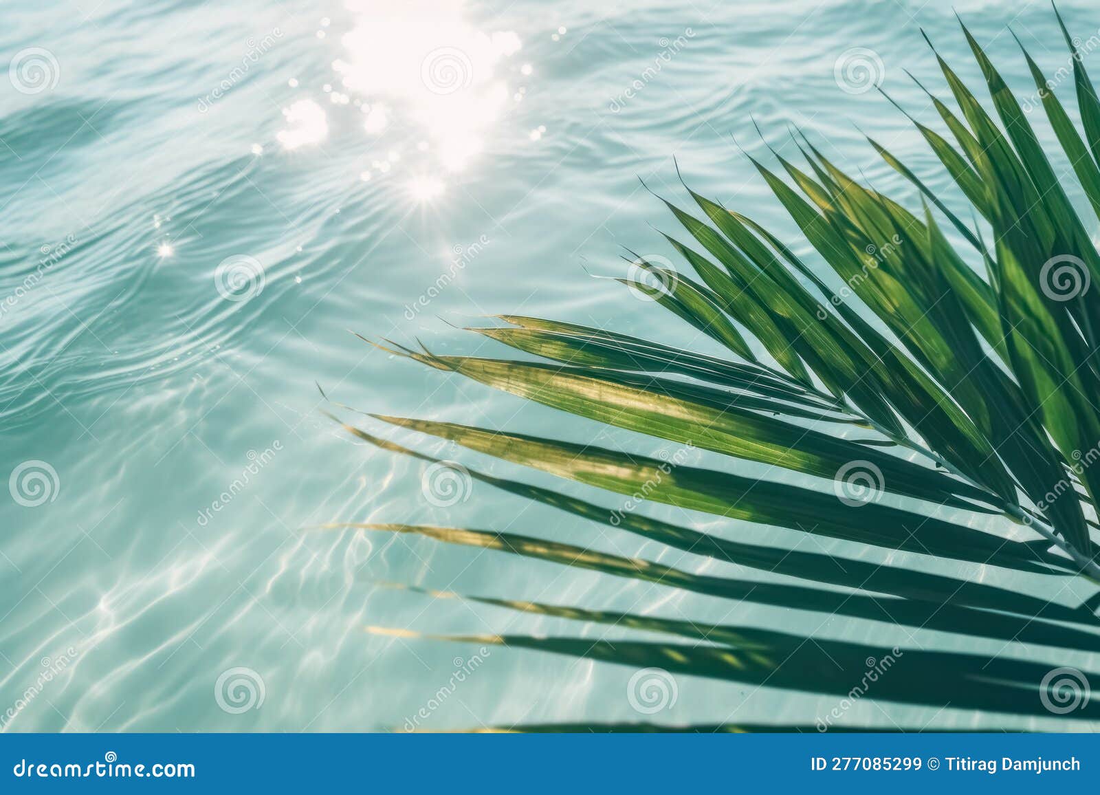 Summer Background. Palm Leaves on Wave Beach. Generative Ai Stock ...