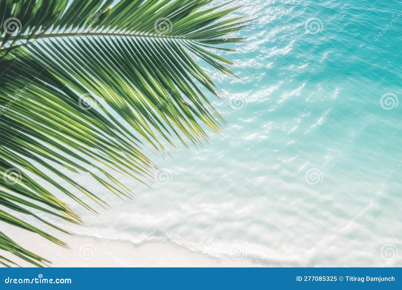 Summer Background. Palm Leaves on Wave Beach. Generative Ai Stock Image ...