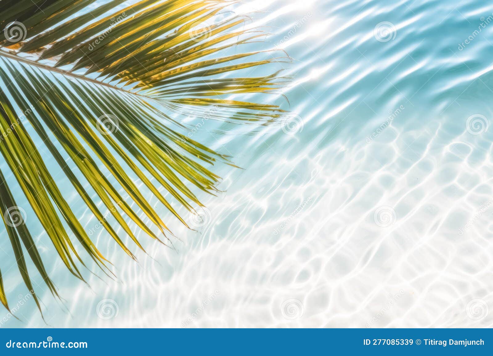 Summer Background. Palm Leaves on Wave Beach. Generative Ai Stock Image ...