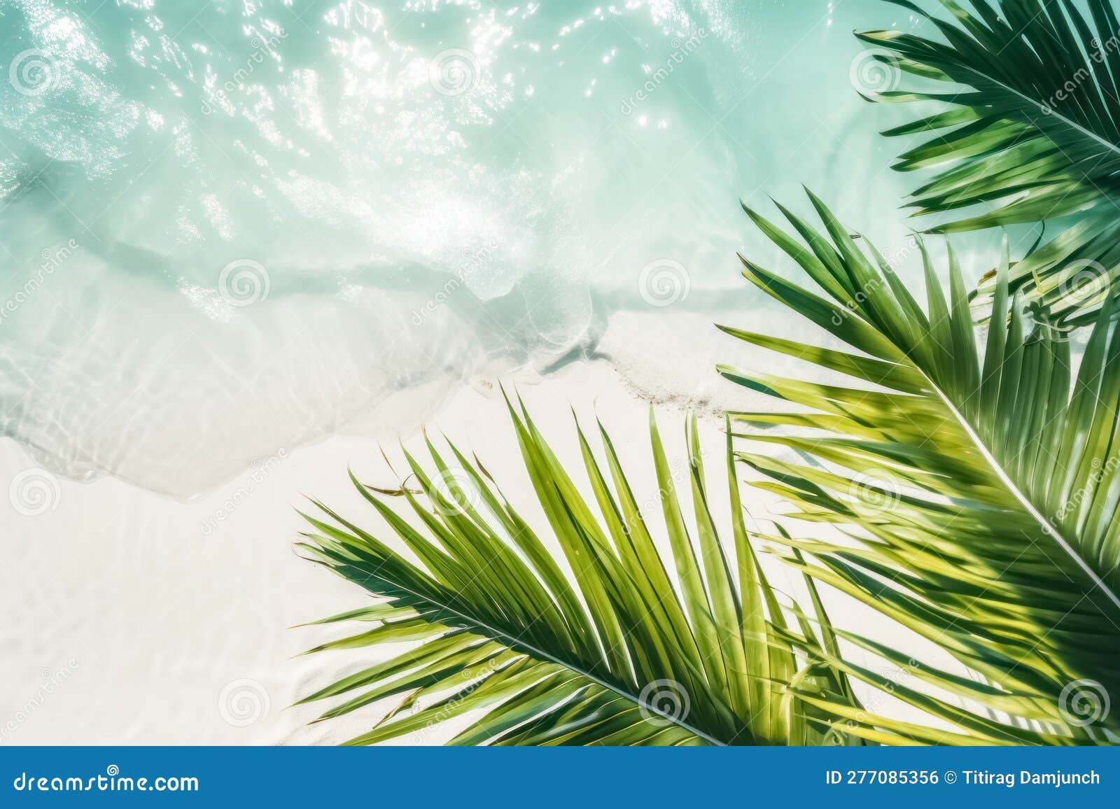 Summer Background. Palm Leaves on Wave Beach. Generative Ai Stock Photo ...
