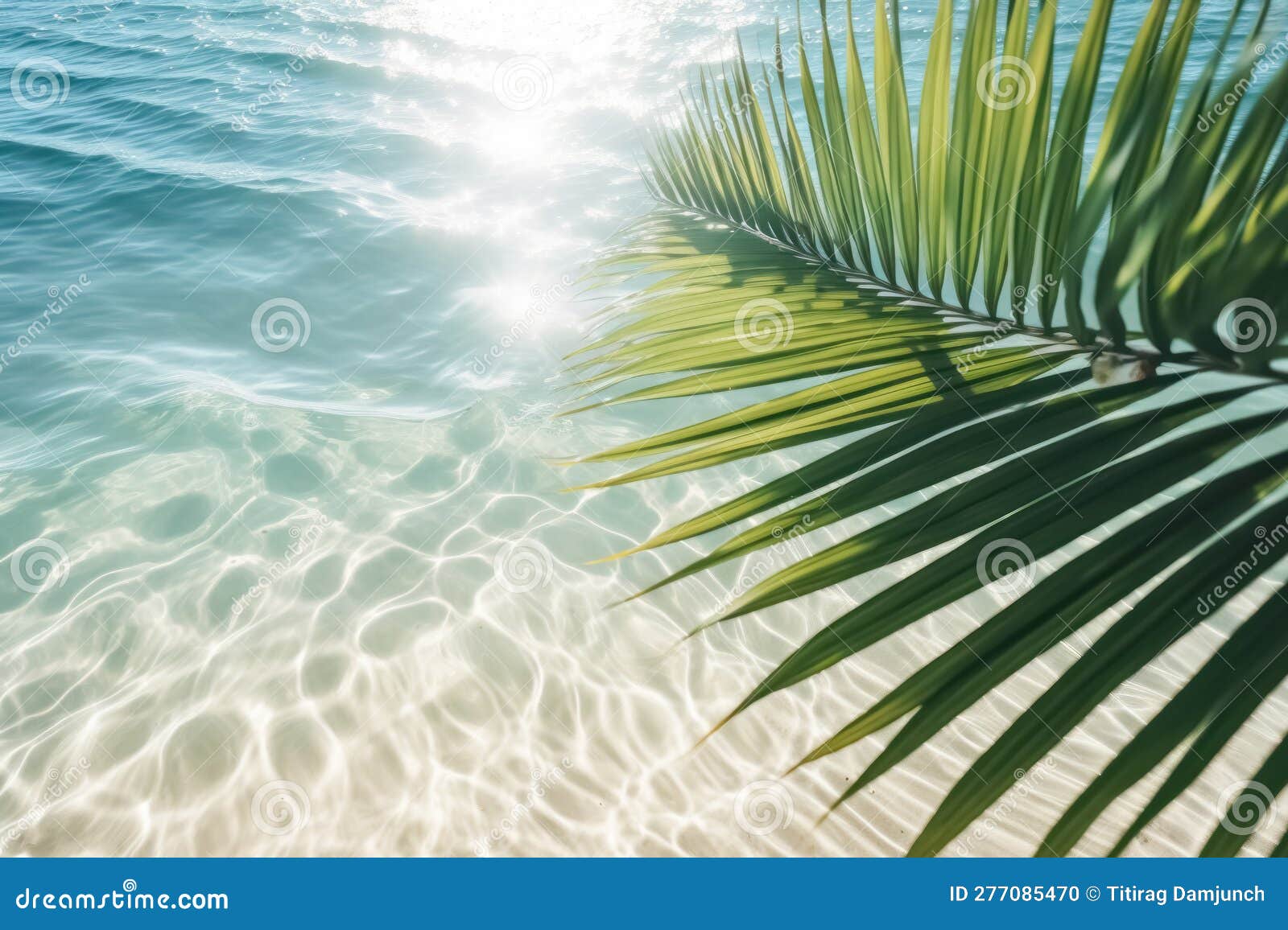 Summer Background. Palm Leaves on Wave Beach. Generative Ai Stock ...