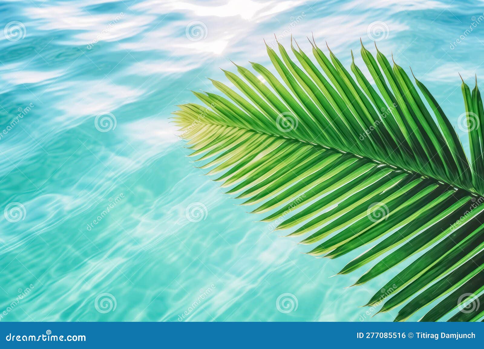 Summer Background. Palm Leaves on Wave Beach. Generative Ai Stock ...