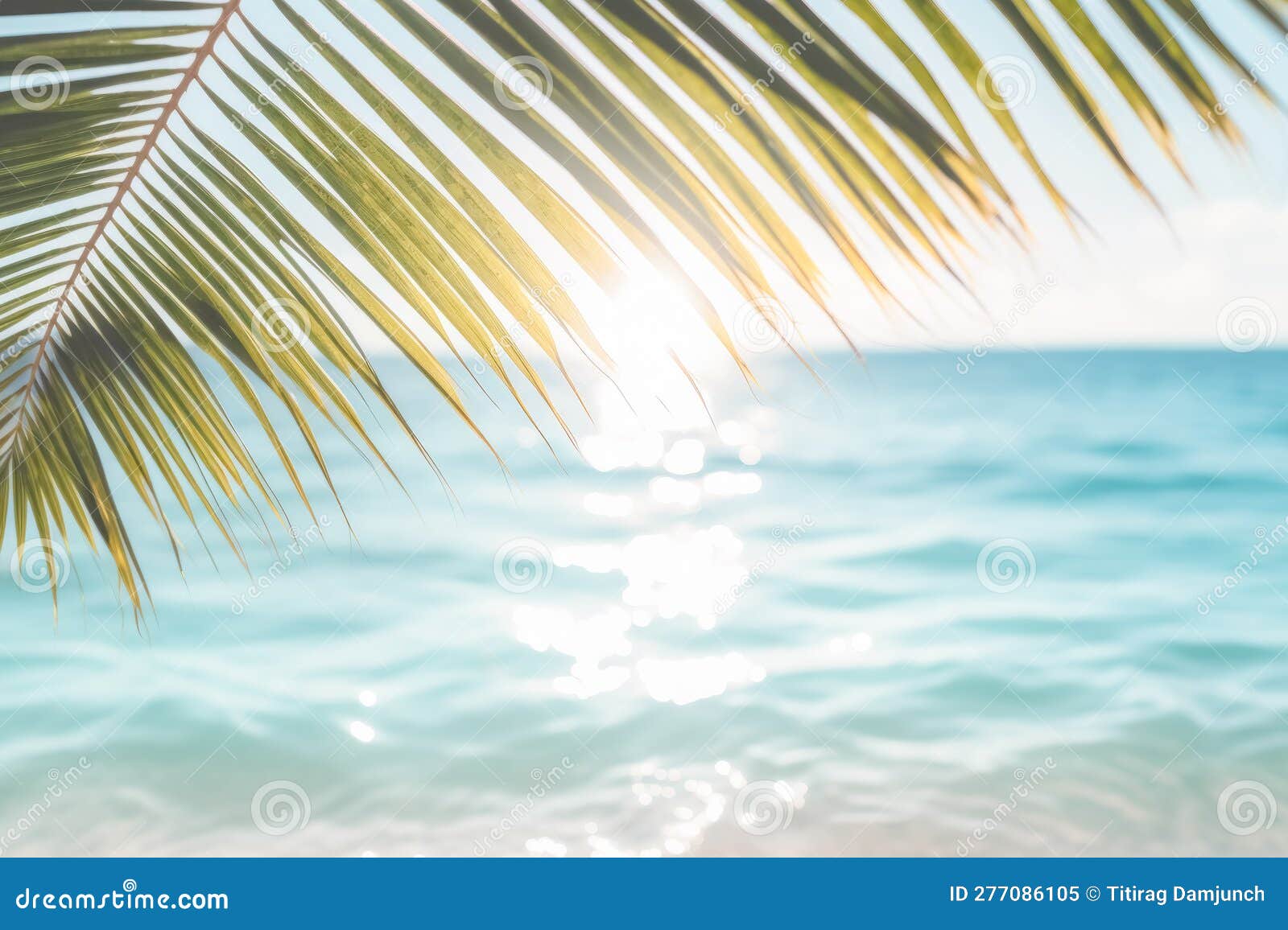 Summer Background. Palm Leaves on Wave Beach. Generative Ai Stock Image ...