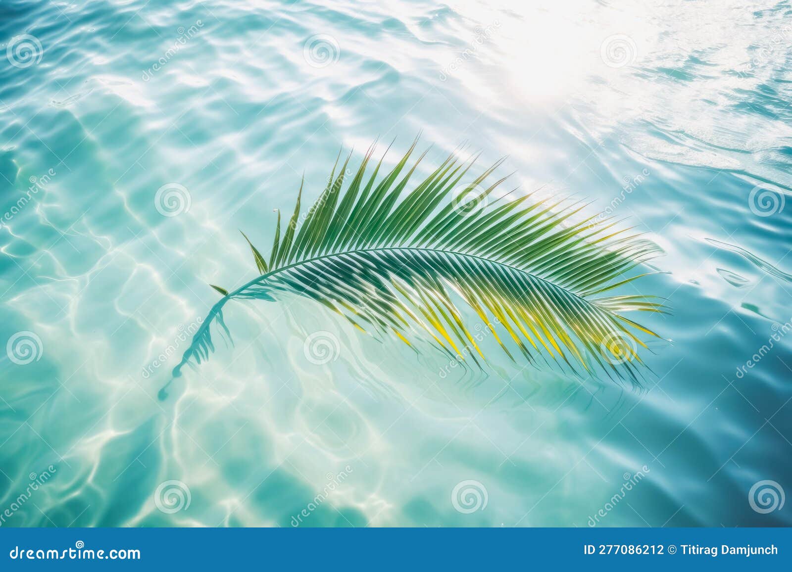 Summer Background. Palm Leaves on Wave Beach. Generative Ai Stock ...