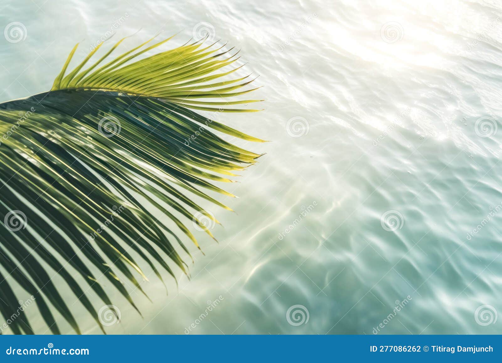 Summer Background. Palm Leaves on Wave Beach. Generative Ai Stock ...