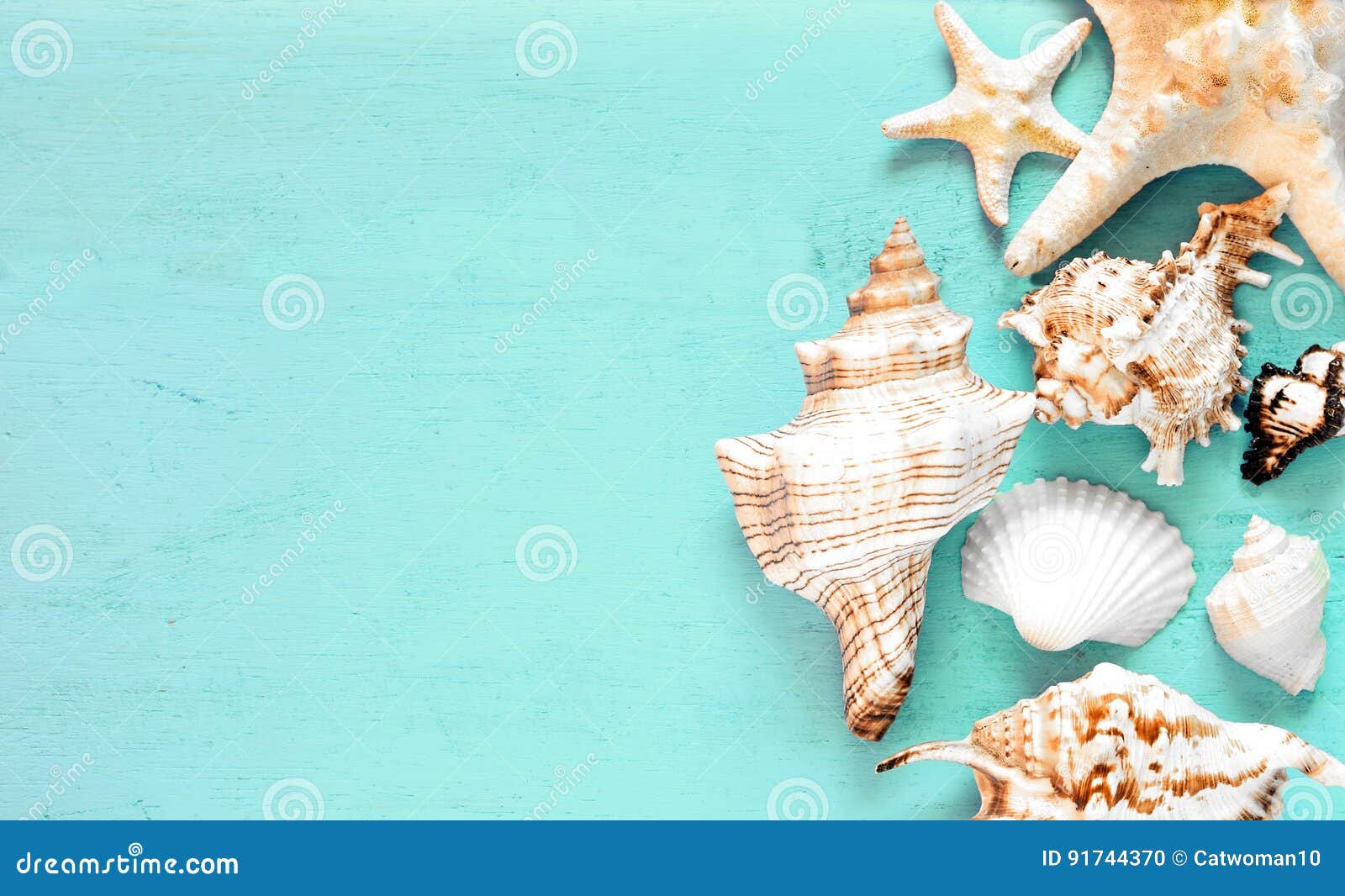 Summer Background, Sea Shells on Turquoise Blue Wood, Top View, Copy ...