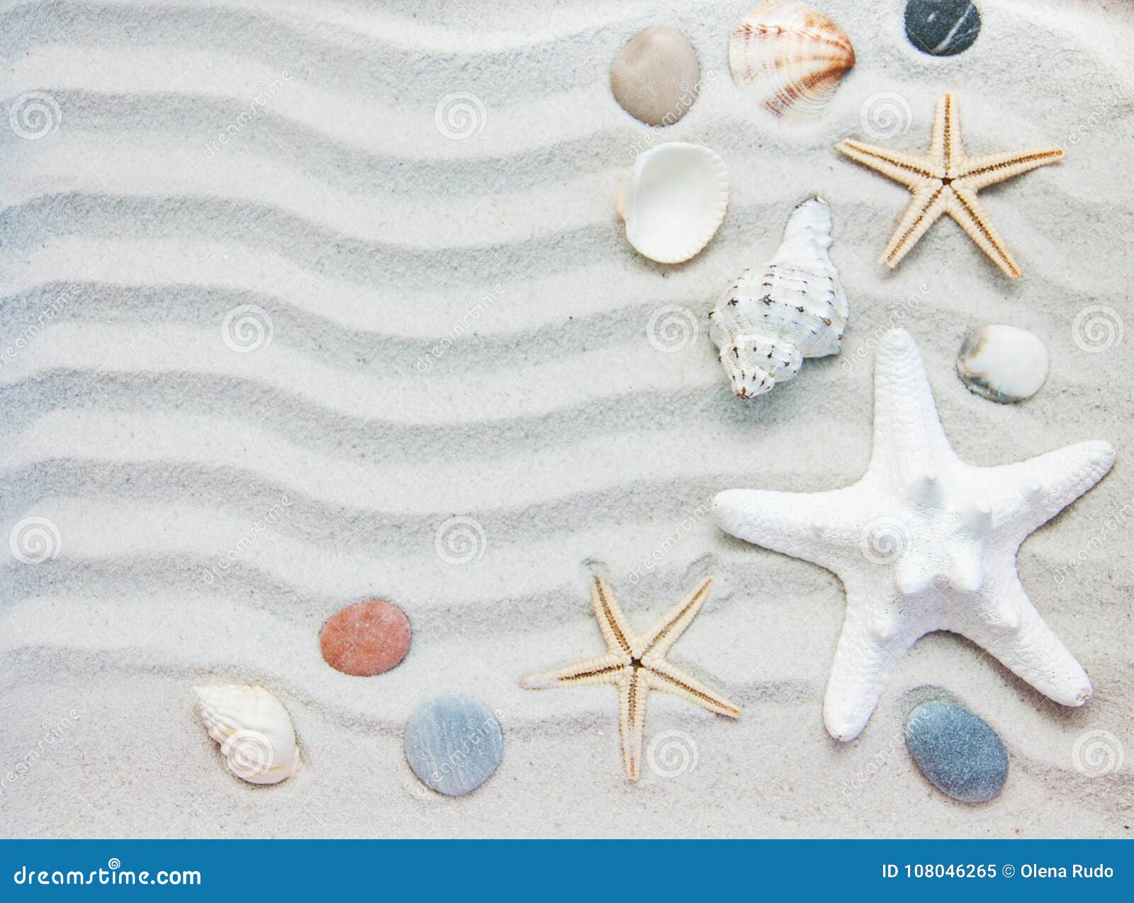 Starfish Border Stock Photography | CartoonDealer.com #8642150