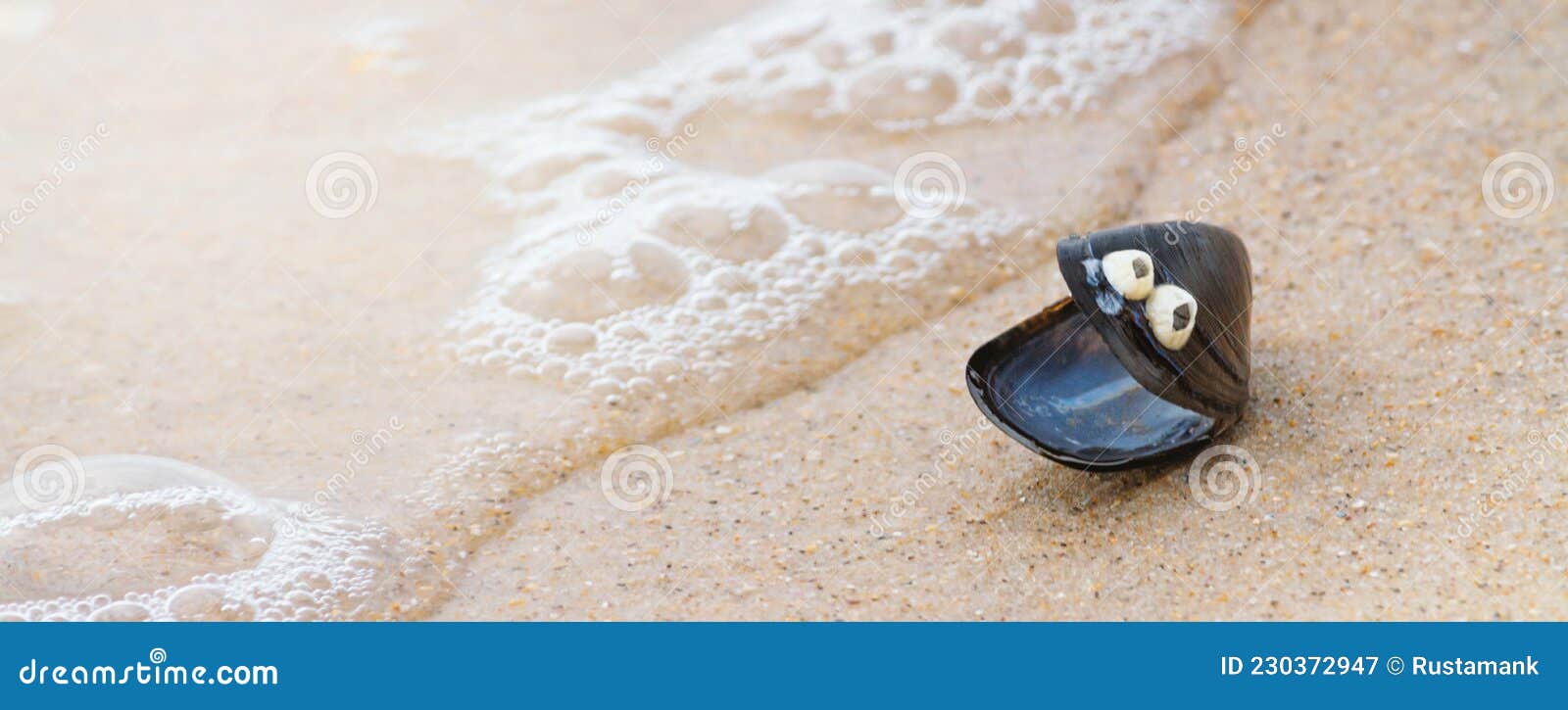 Summer Background - Shell Hell in the Form of a Funny Face on the Sand ...