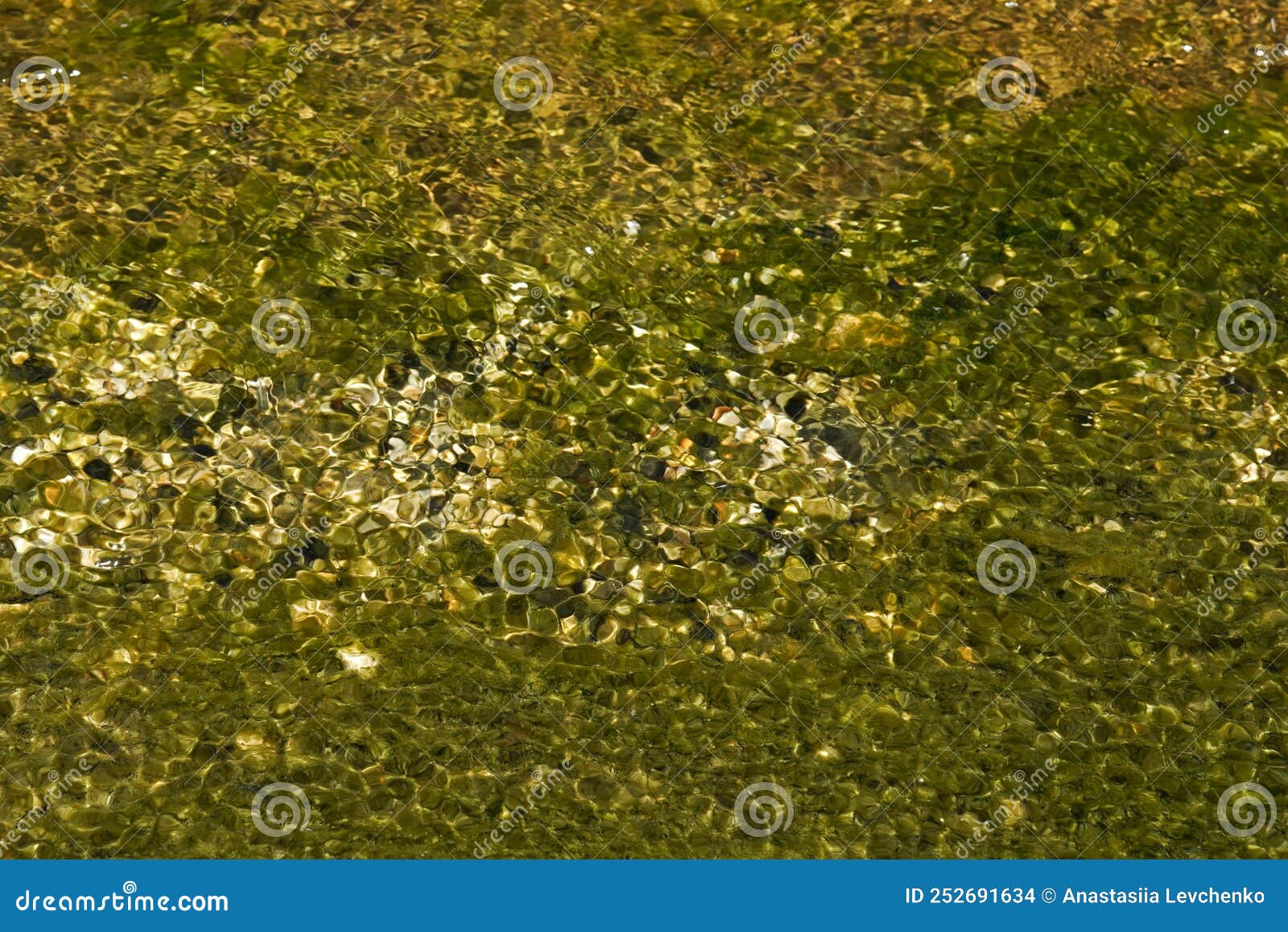 Summer Background. Texture of Water Surface. Fountain Water Stock Photo ...