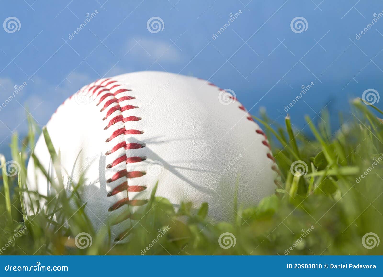 Summer Baseball stock photo. Image of copy, playing, spring - 23903810