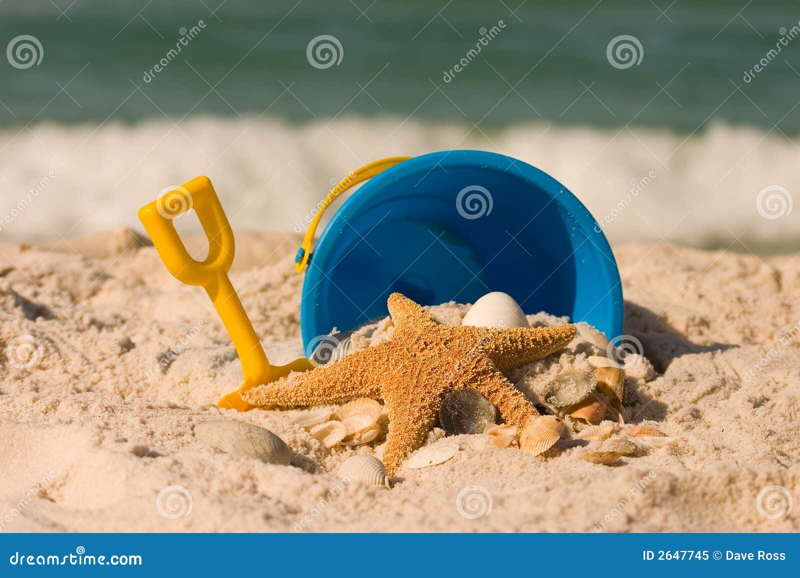 Summer at the Beach stock image. Image of relaxation, fish - 2647745