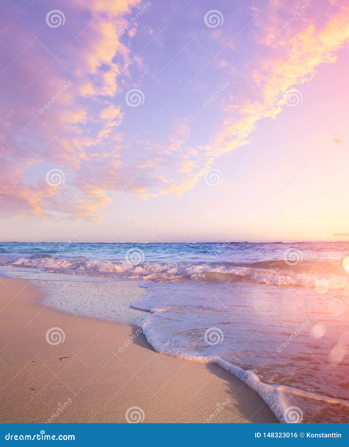 Beach. Background With Shells And Sand Texture Royalty-Free Stock Photo ...