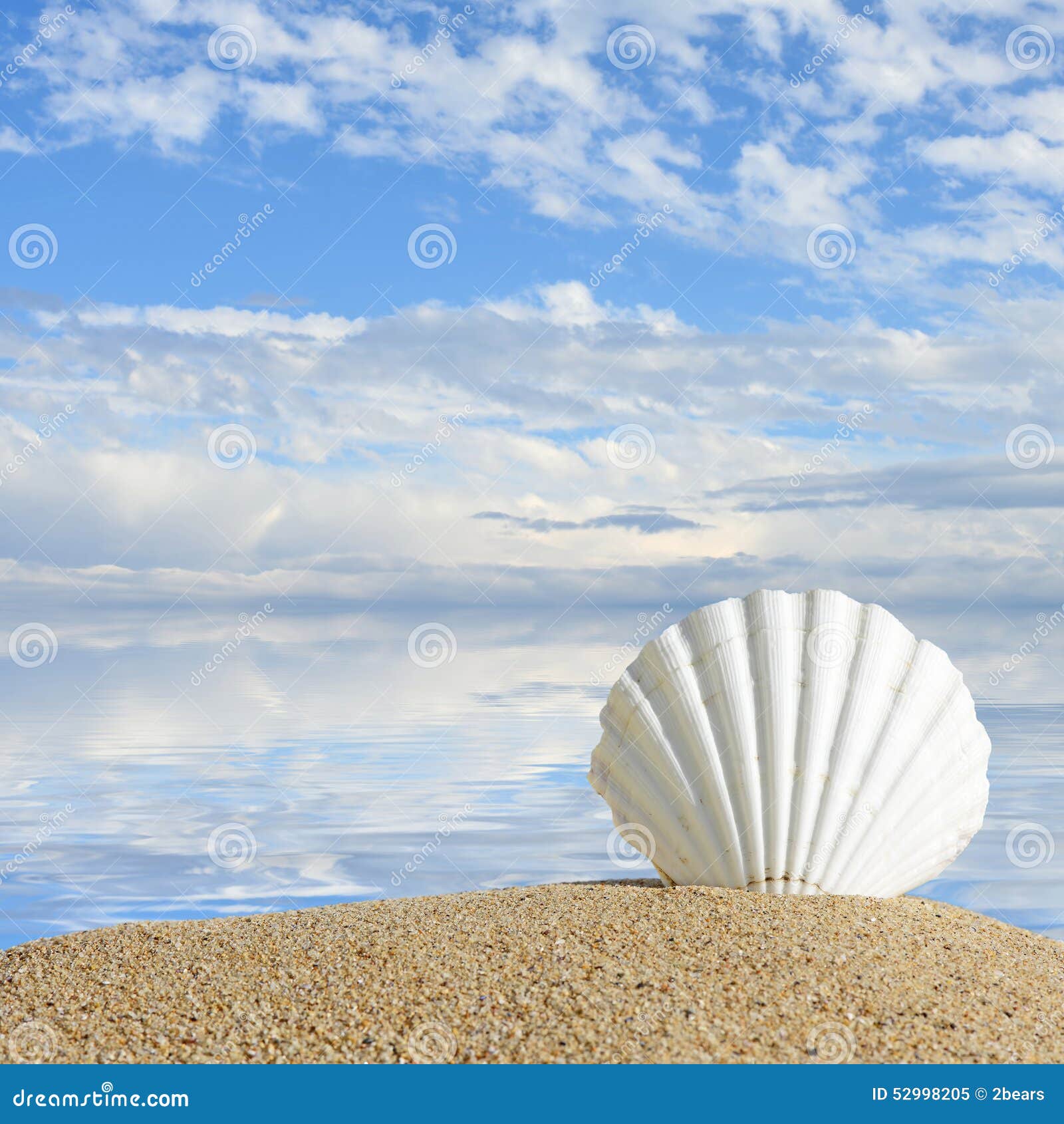 Summer Beach with Sea Shells and Blue Sky Stock Image - Image of marine ...