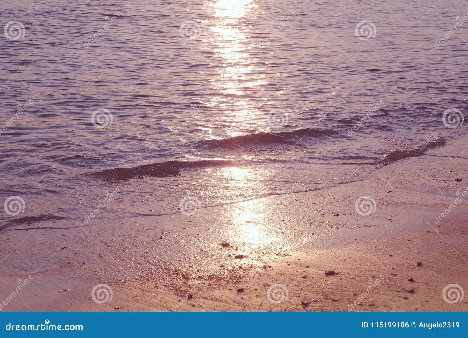 Evening sea 1 stock photo. Image of vacation, seascape - 115199106