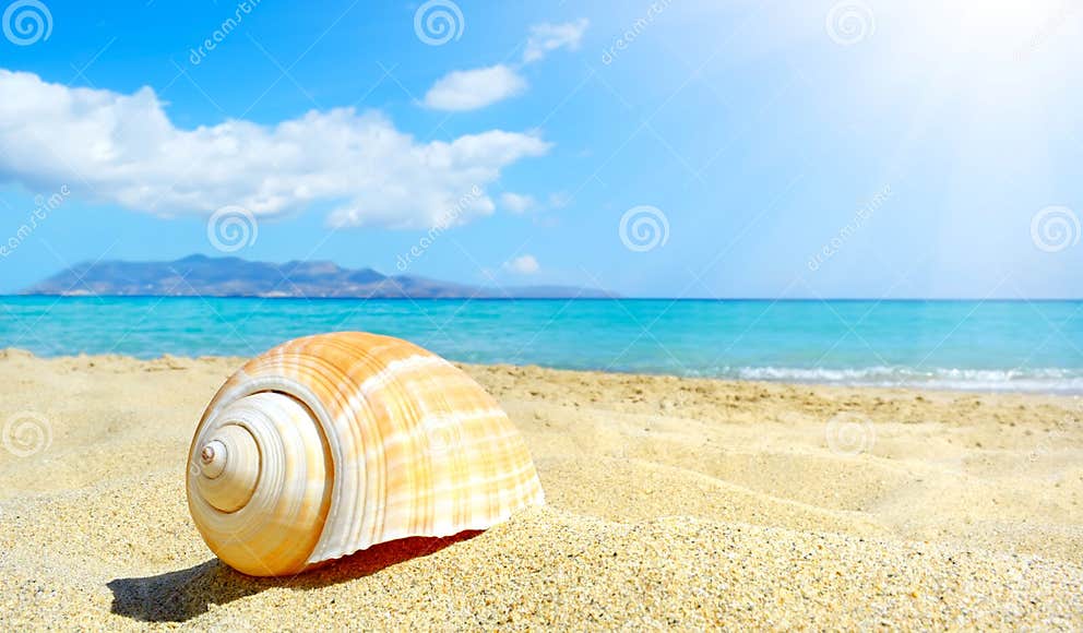 Summer Beach with Shell. Crete Stock Image - Image of exotic, nature ...