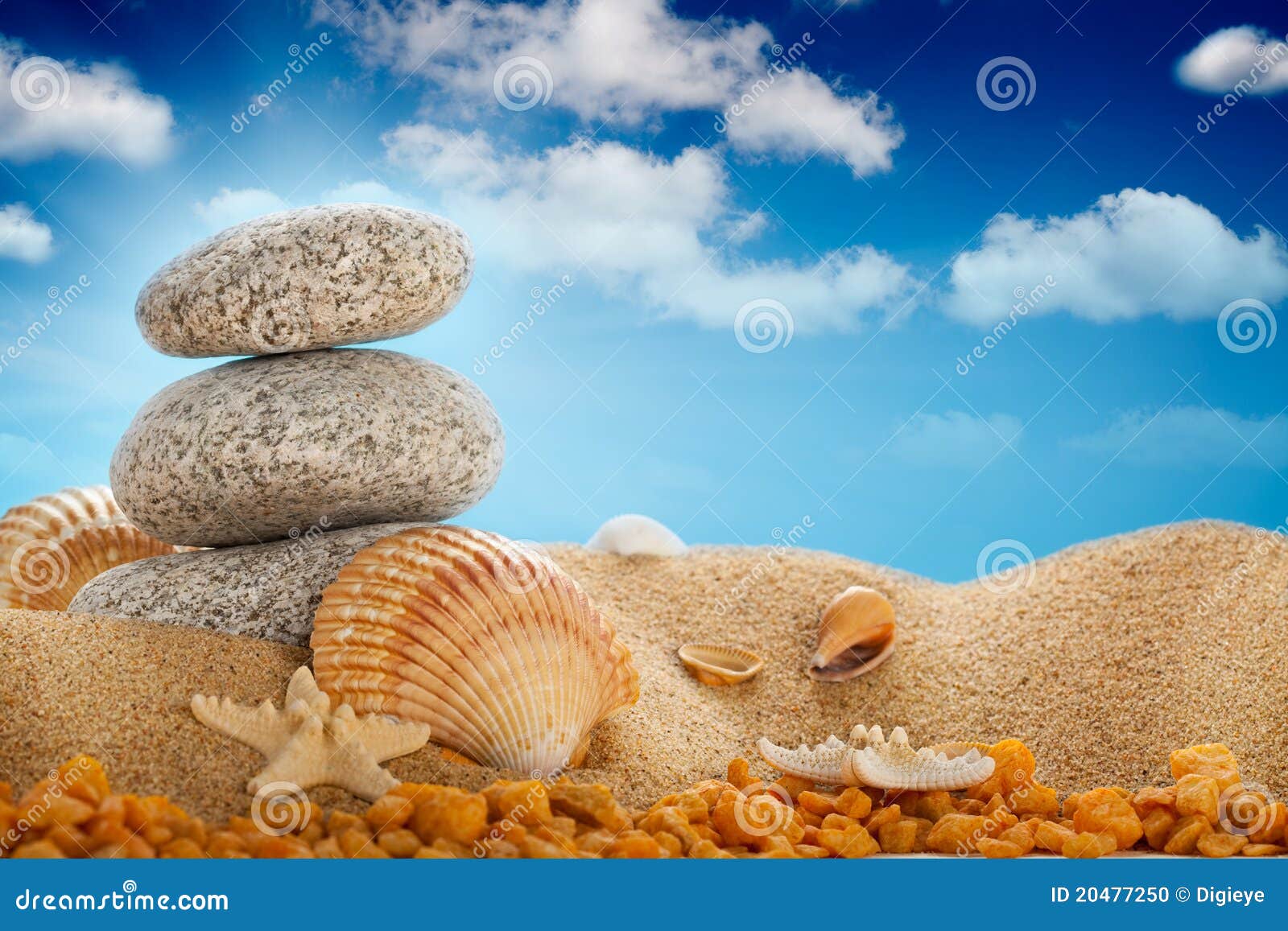 Summer Beach; Stones and Shells Stock Photo - Image of container ...