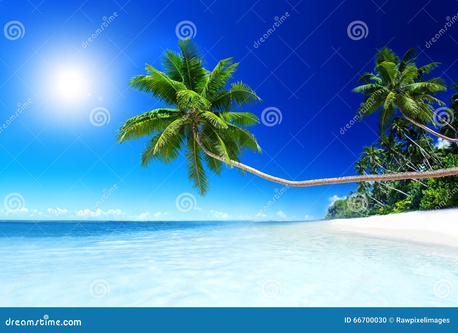 Summer Beach Tropical Paradise Seascape Concept Stock Photo - Image of ...