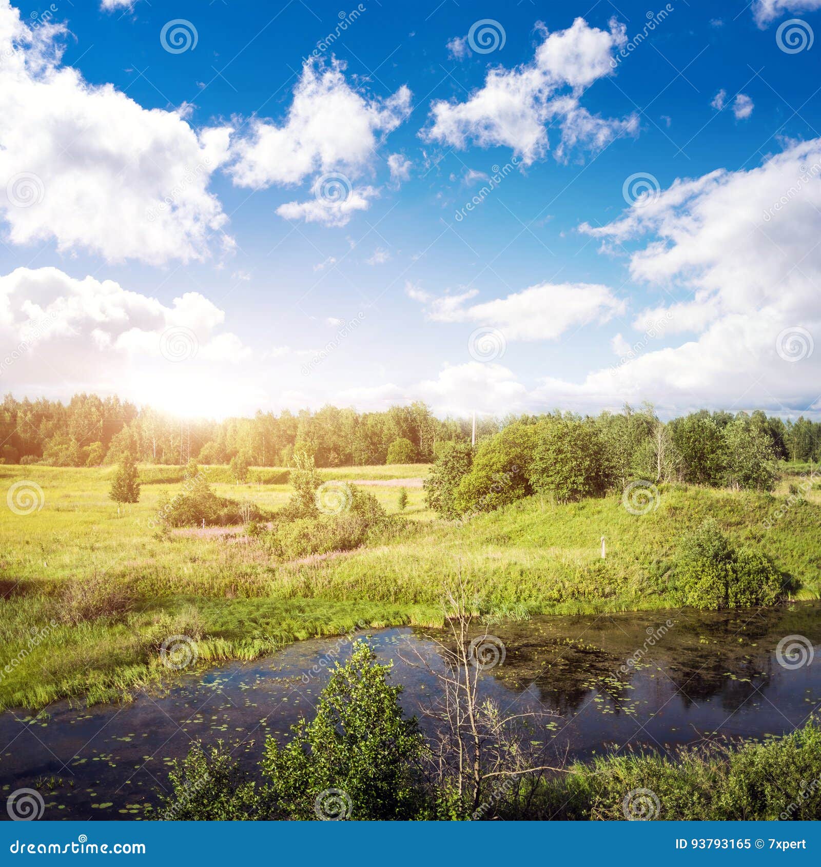 Summer Beautiful Forest and Field Stock Image - Image of trees, clouds ...