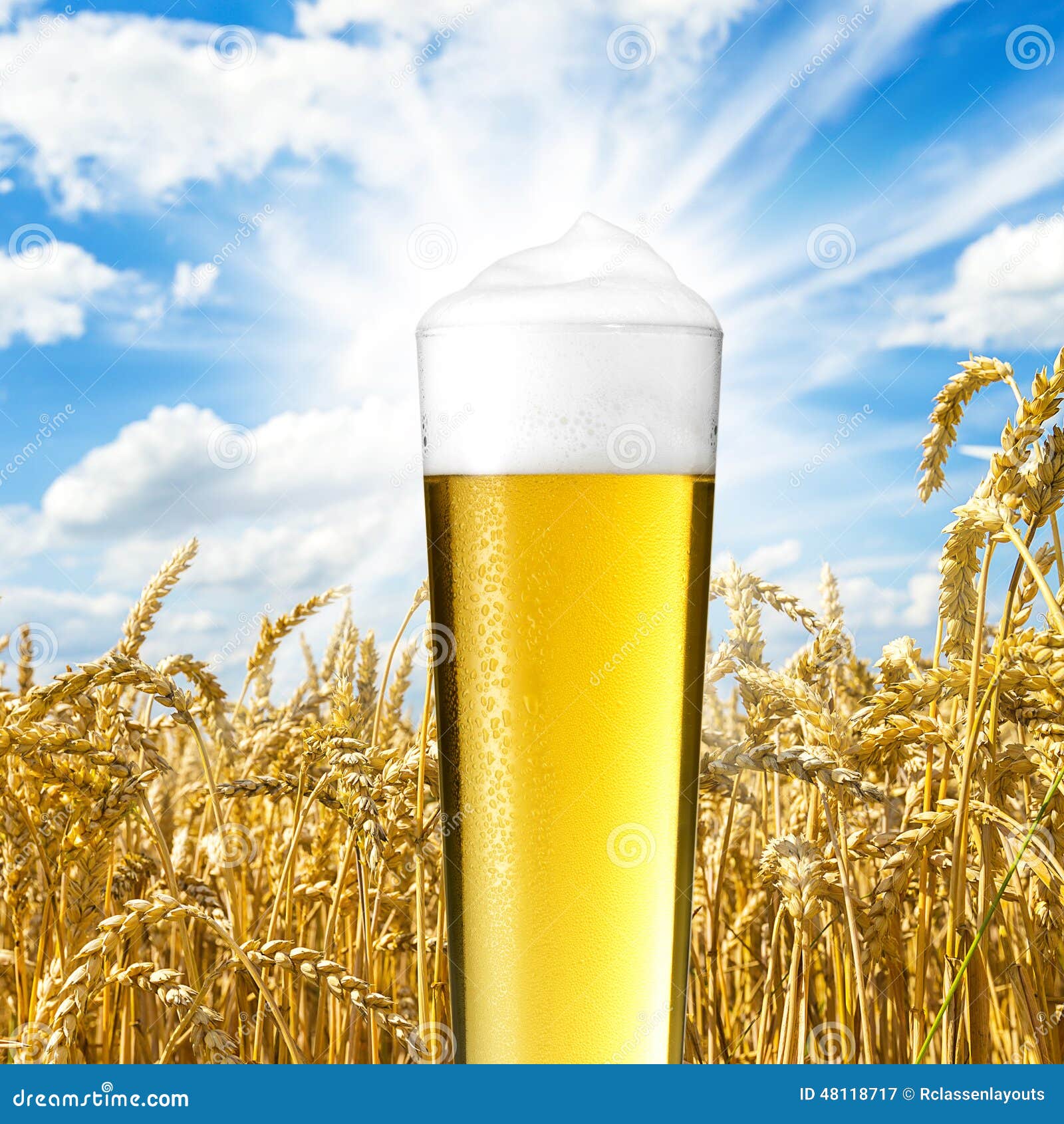 Summer Beer with Drops of Dew Stock Image - Image of foam, field: 48118717