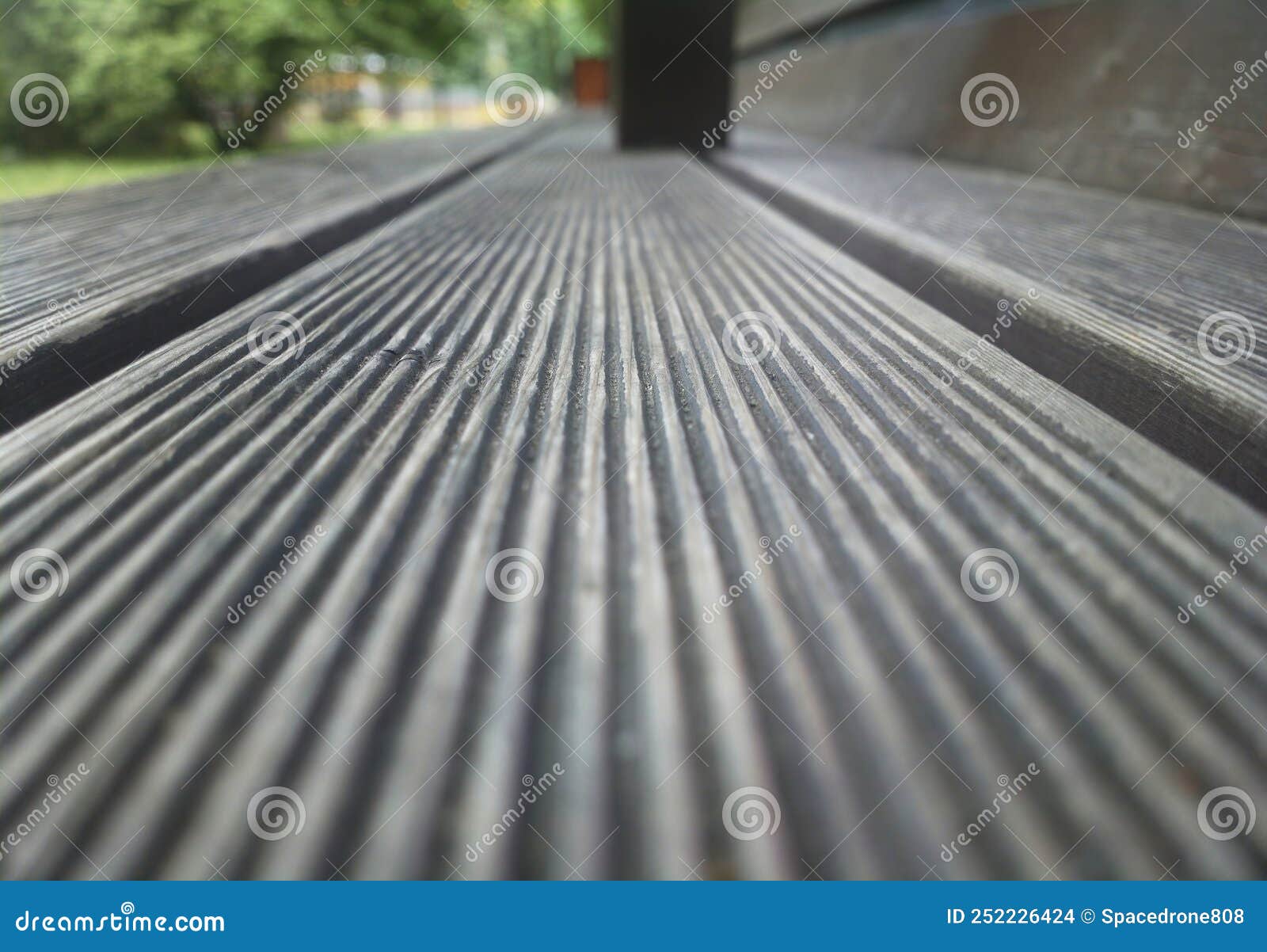 Summer Bench Low Angle View Backdrop Stock Photo - Image of vibrant ...