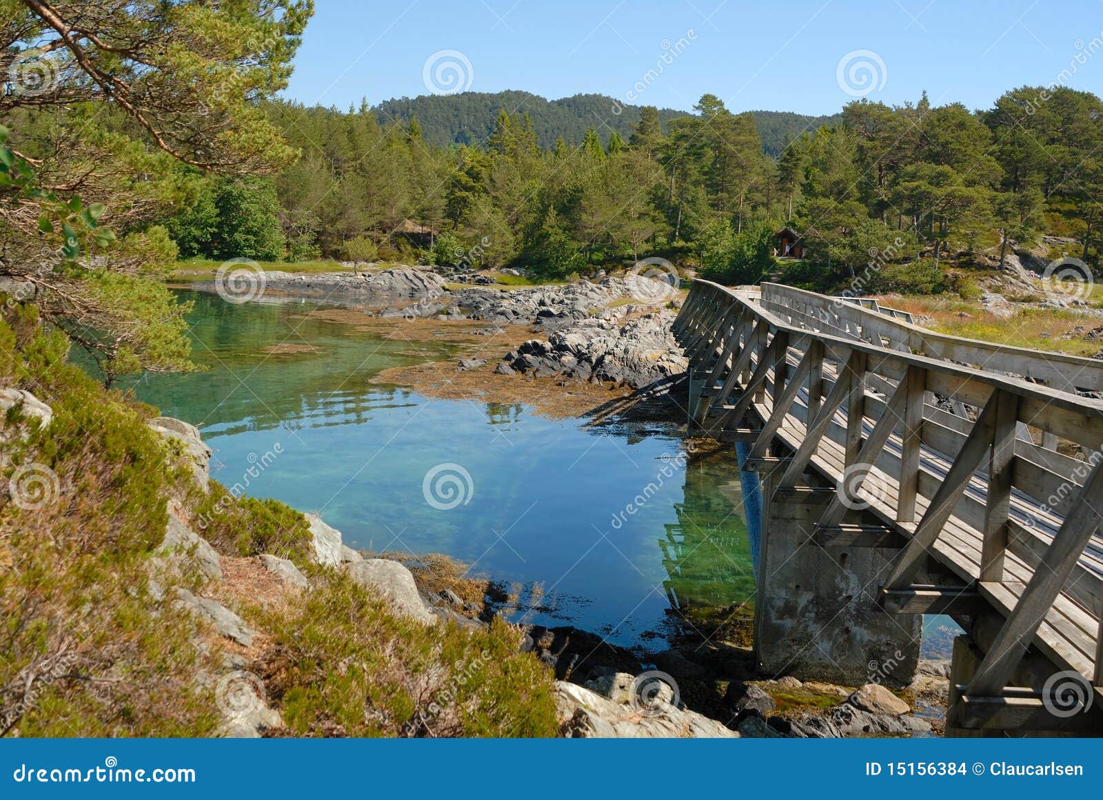 Summer in Bergen Norway stock photo. Image of summer - 15156384