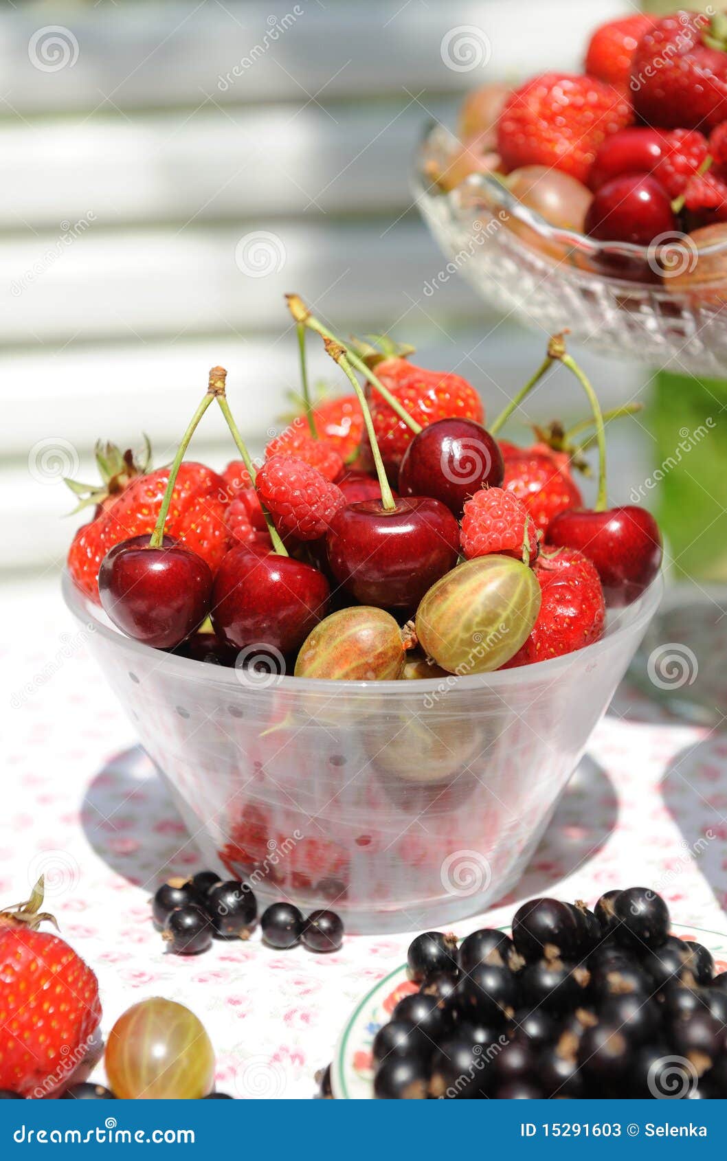Summer berries. stock image. Image of healthy, natural - 15291603