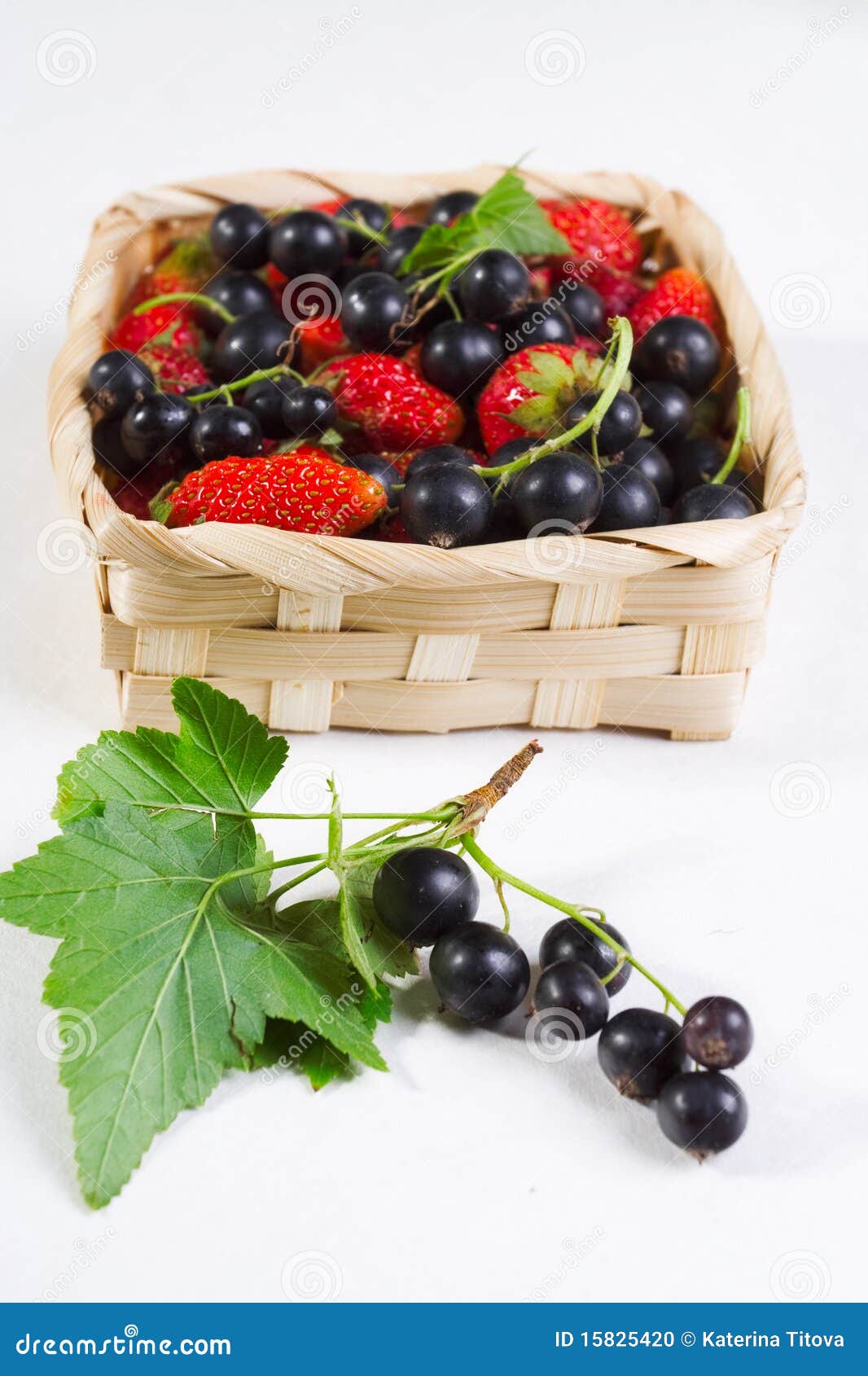Summer berries stock photo. Image of healthy, vitamin - 15825420
