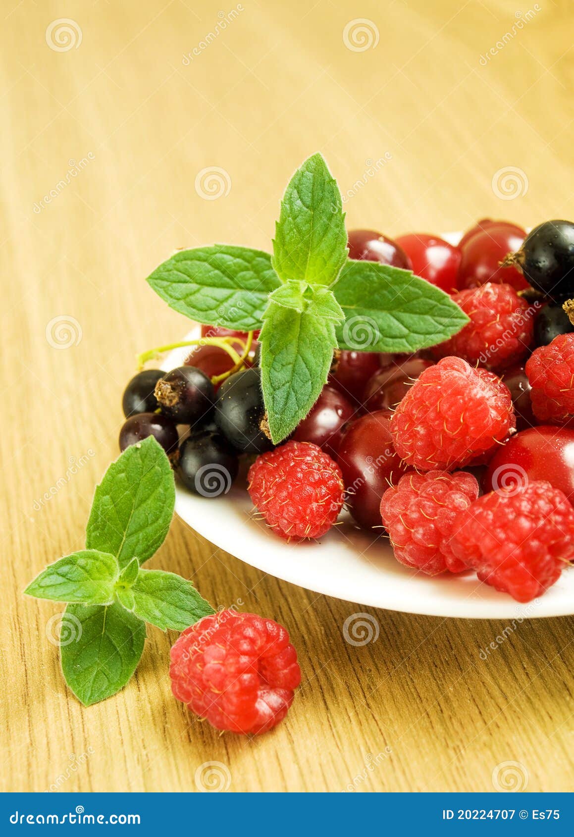 Summer berries stock image. Image of black, sweet, tasty - 20224707