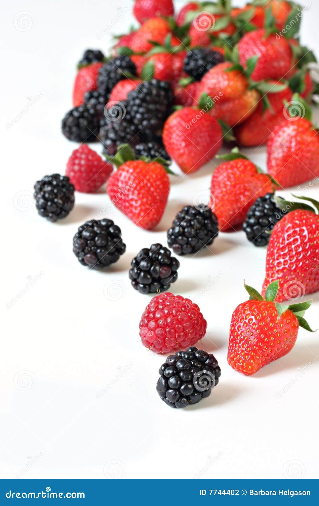 Summer berries stock photo. Image of ripe, healthy, organic - 7744402