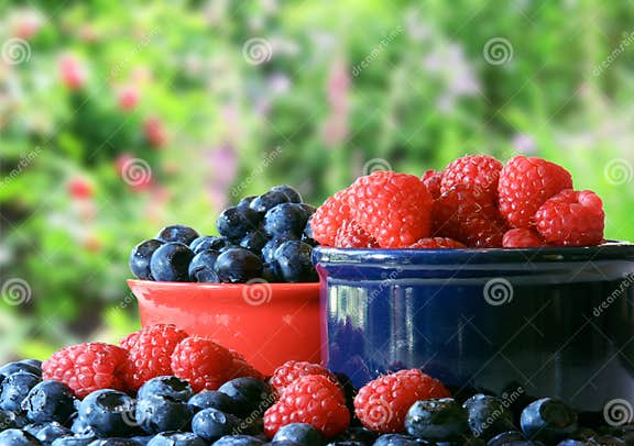 Summer berries stock photo. Image of rasberry, ripe, fruit - 9934742