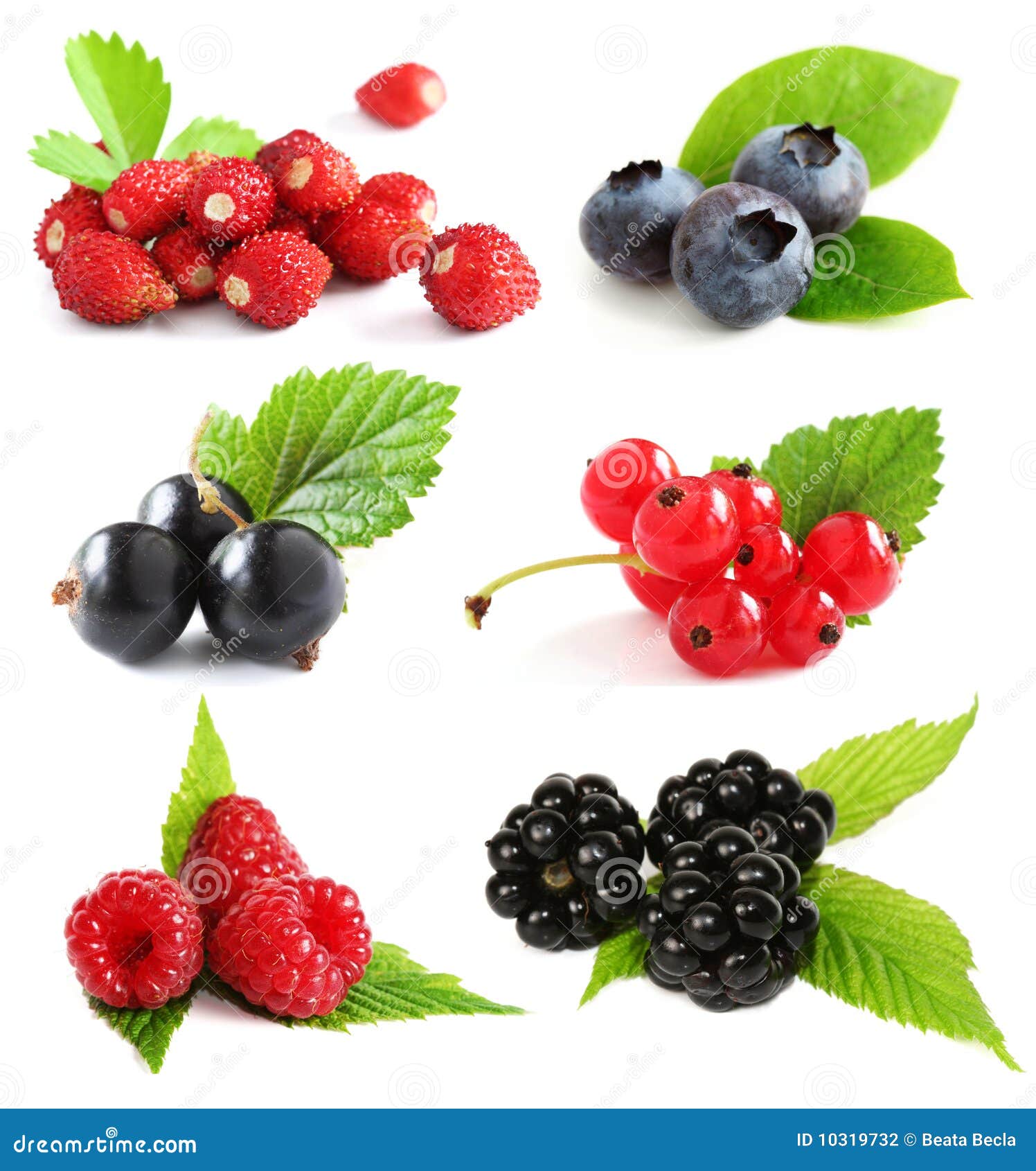 Summer Berries Isolated on White Stock Photo - Image of leaves, ripe ...