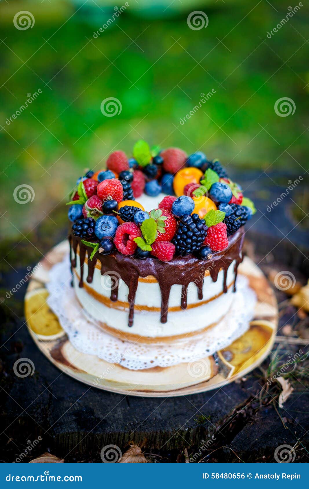 Summer berry cake stock photo. Image of bakery, pudding - 58480656
