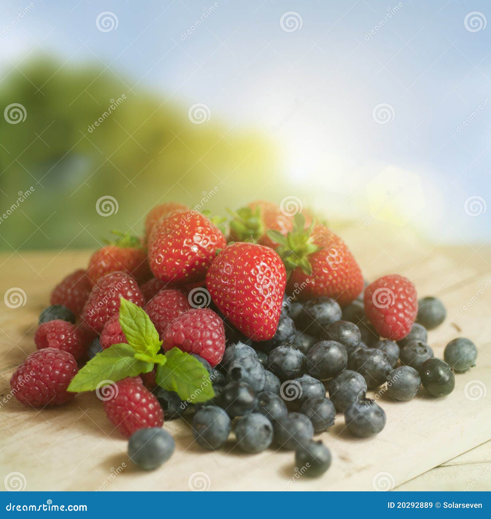 Summer Berry Fruits stock image. Image of mint, strawberry - 20292889