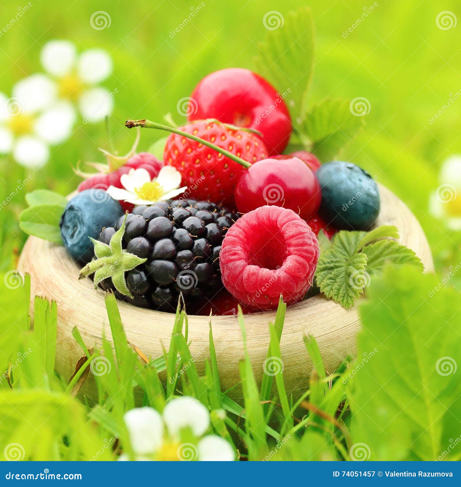 Summer berry fruits stock image. Image of vitamin, healthy - 74051457