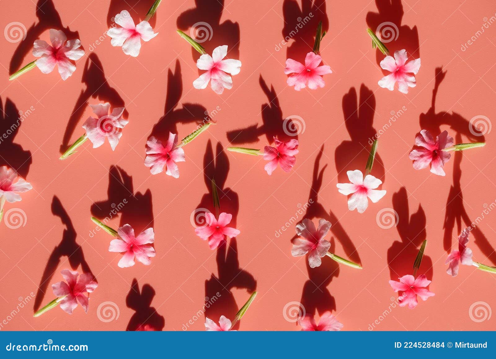 Summer Bloom Texture Pattern. Natural Elegant Flowers on Pink ...
