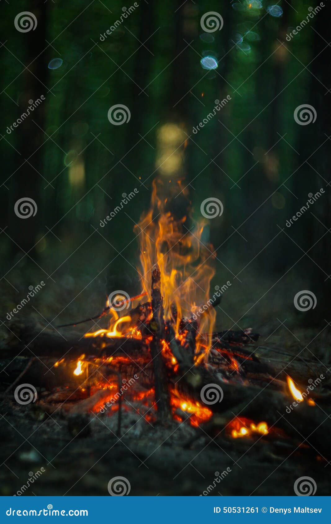 Summer bonfire stock image. Image of saving, german, peace - 50531261
