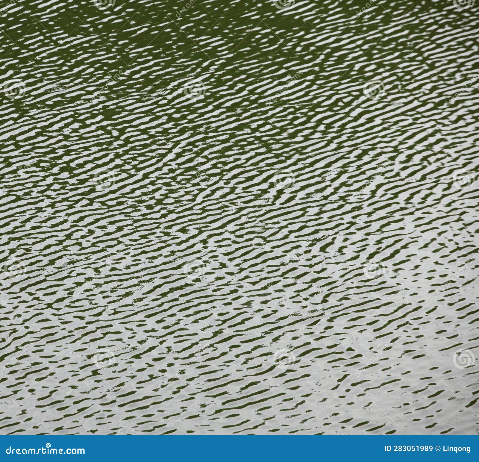 Rippled Texture on the Water Surface in the Breeze Stock Image - Image ...