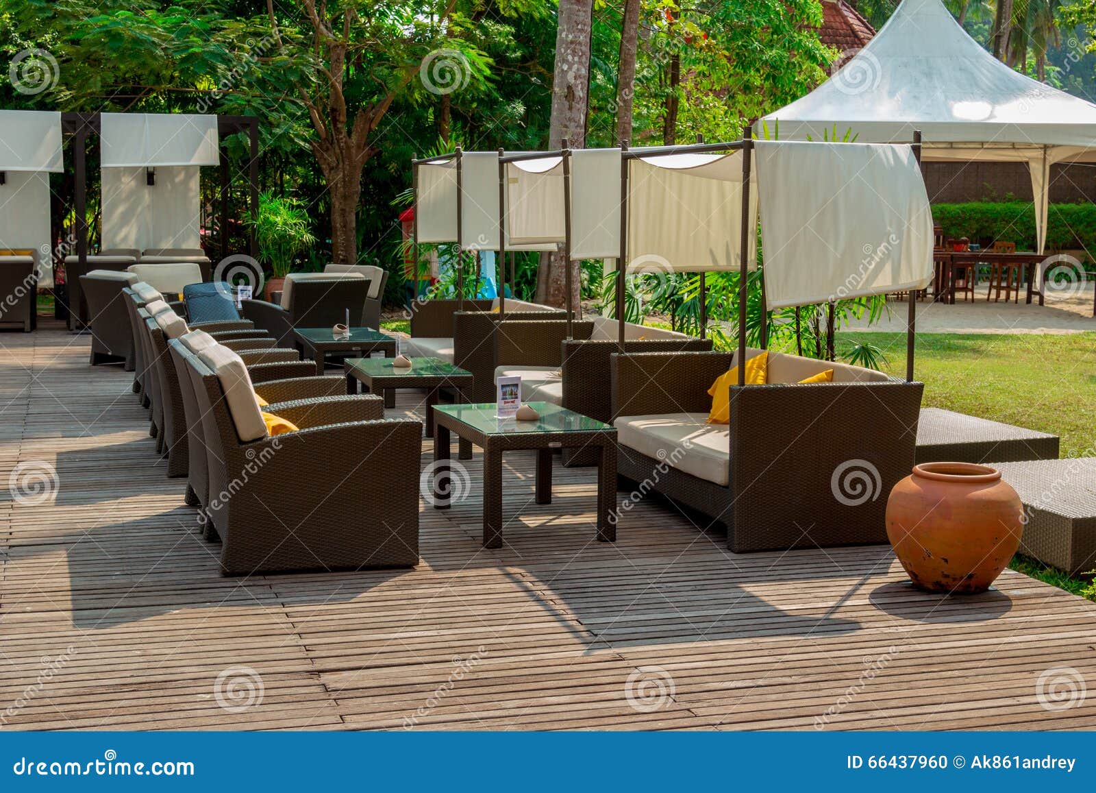In the summer cafe stock photo. Image of interior, table - 66437960