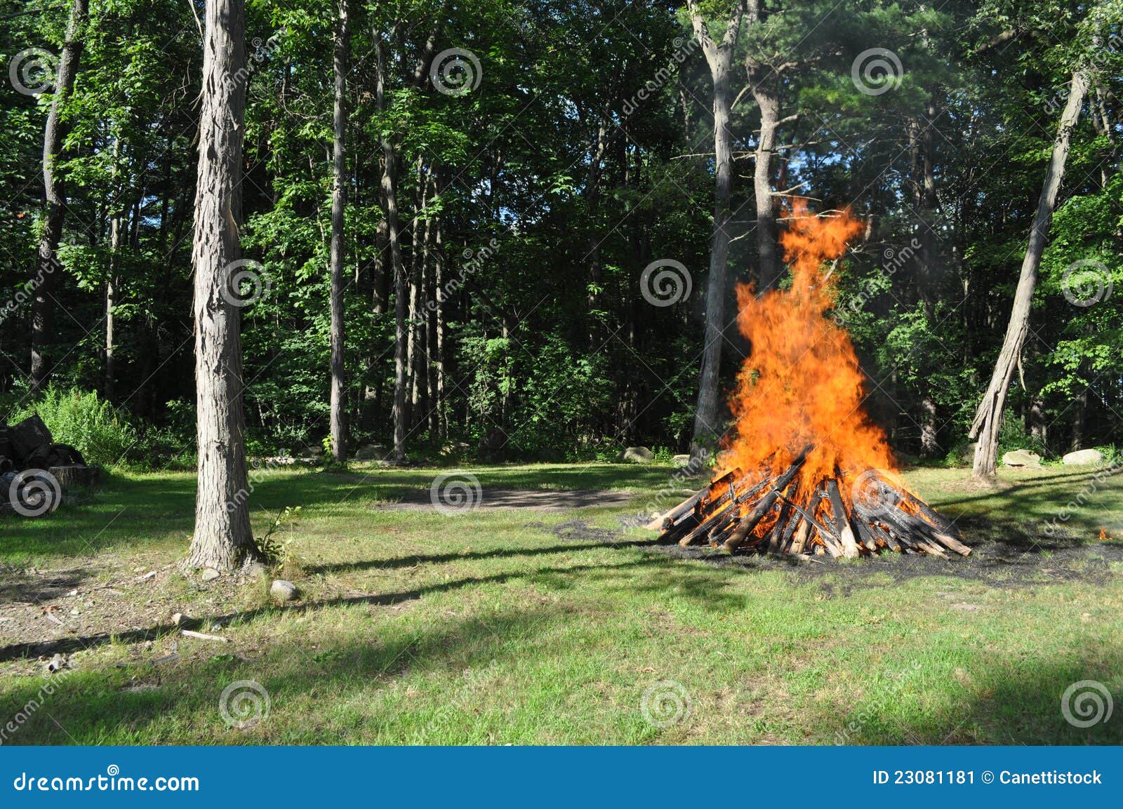 24,936 Summer Camp Tree Stock Photos - Free & Royalty-Free Stock Photos ...