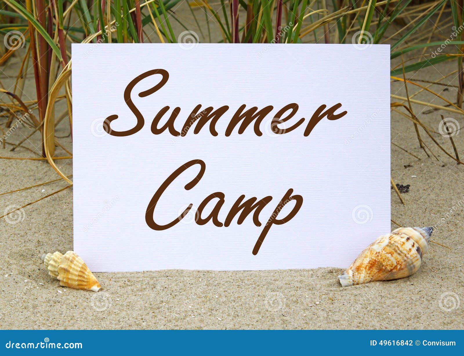 Summer Camp Sign On A Beach Royalty-Free Stock Image | CartoonDealer ...