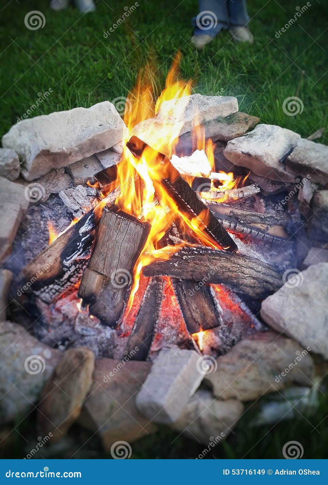 Summer Campfire stock image. Image of campfire, summer - 53716149