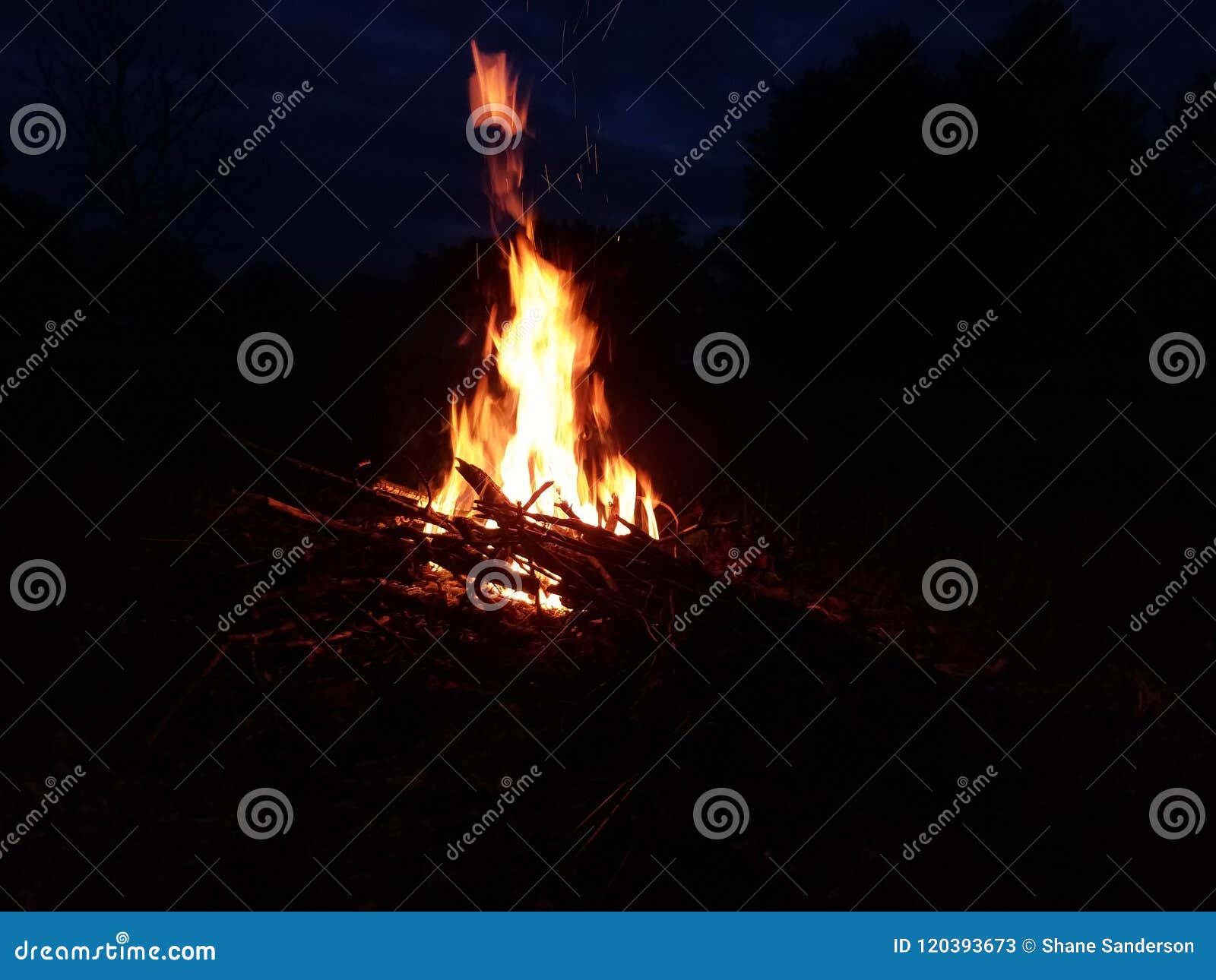 Summer Campfire stock image. Image of fire, summer, campfire - 120393673