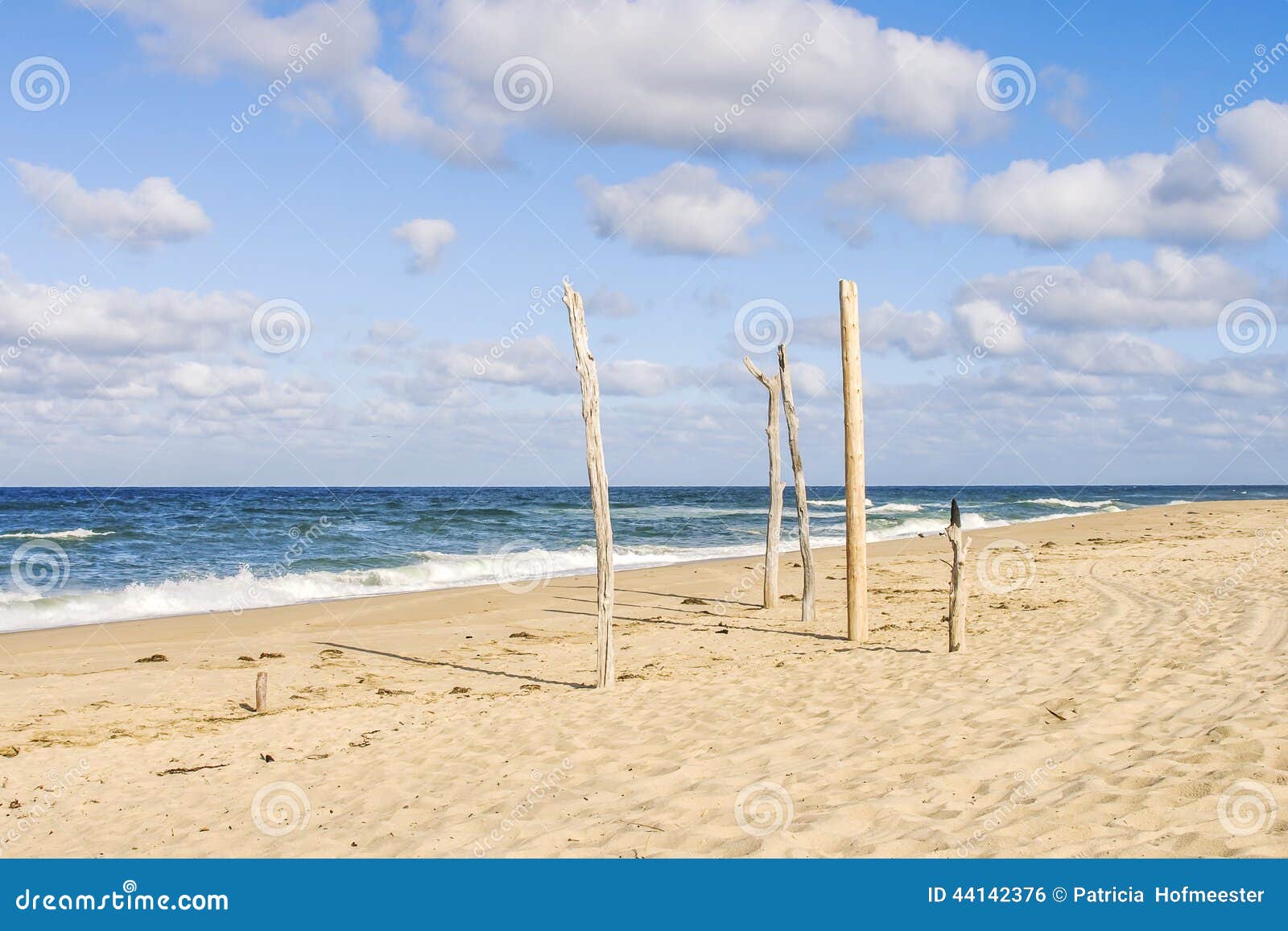 Summer in Cape Cod stock photo. Image of wood, martha - 44142376
