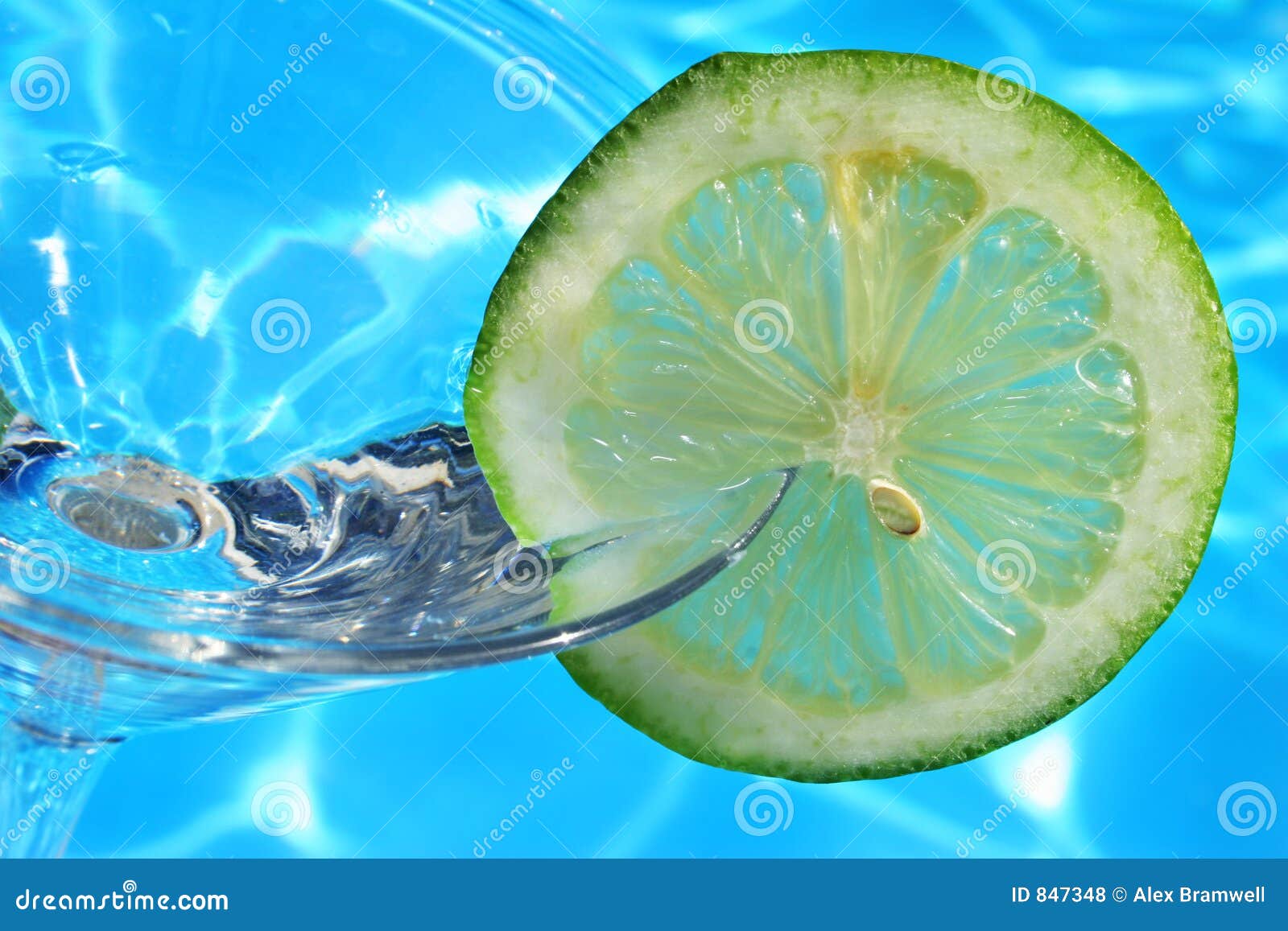 Summer Citrus Cocktail stock photo. Image of holiday, cocktail - 847348
