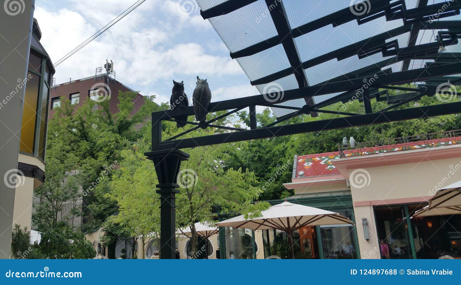Two owls editorial stock photo. Image of owls, center - 124897688