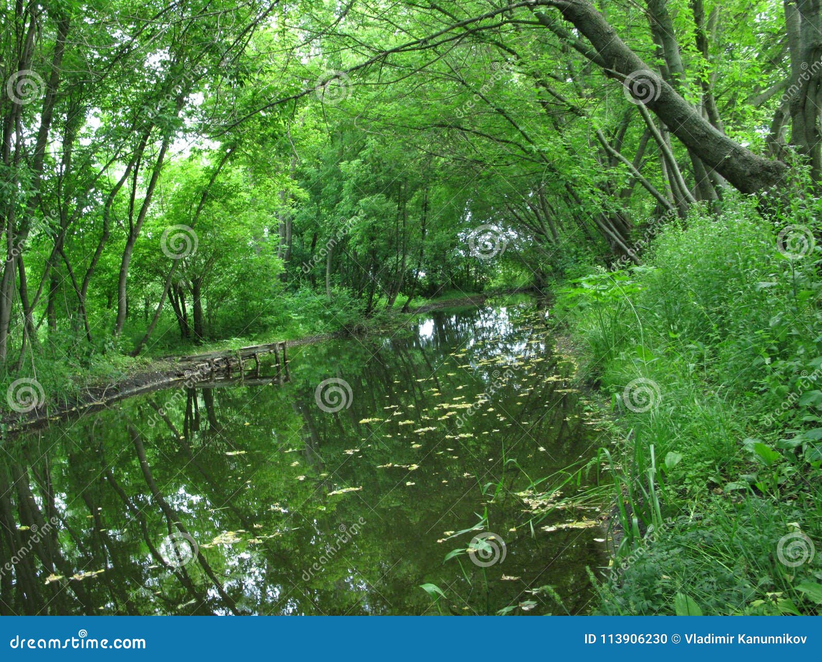 Green Shores of a Small River Stock Photo - Image of green, shores ...