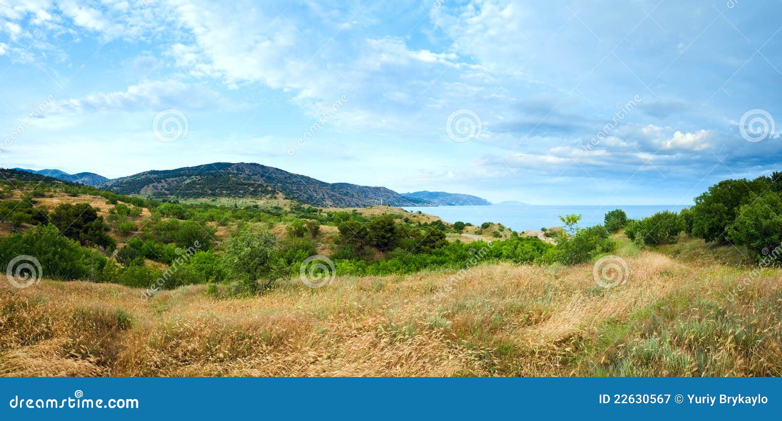 Summer Coastline Panorama (Crimea, Ukraine) Stock Image - Image of ...