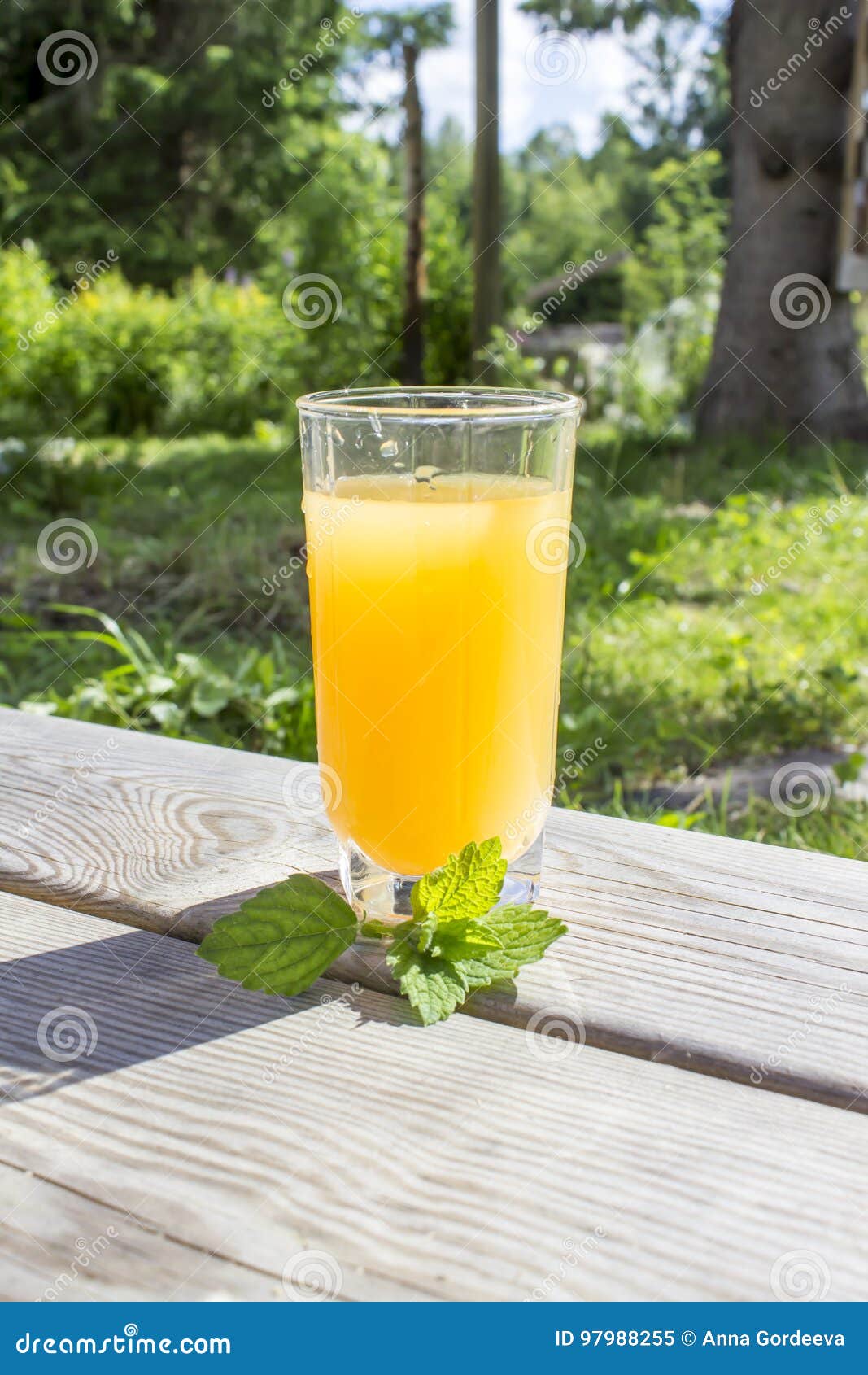 Summer cold refreshment stock image. Image of healthy - 97988255