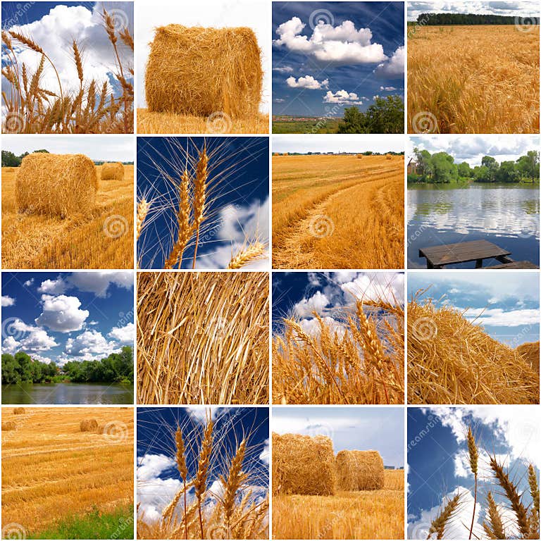 Summer collage stock photo. Image of dark, black, cloudiness - 10941836