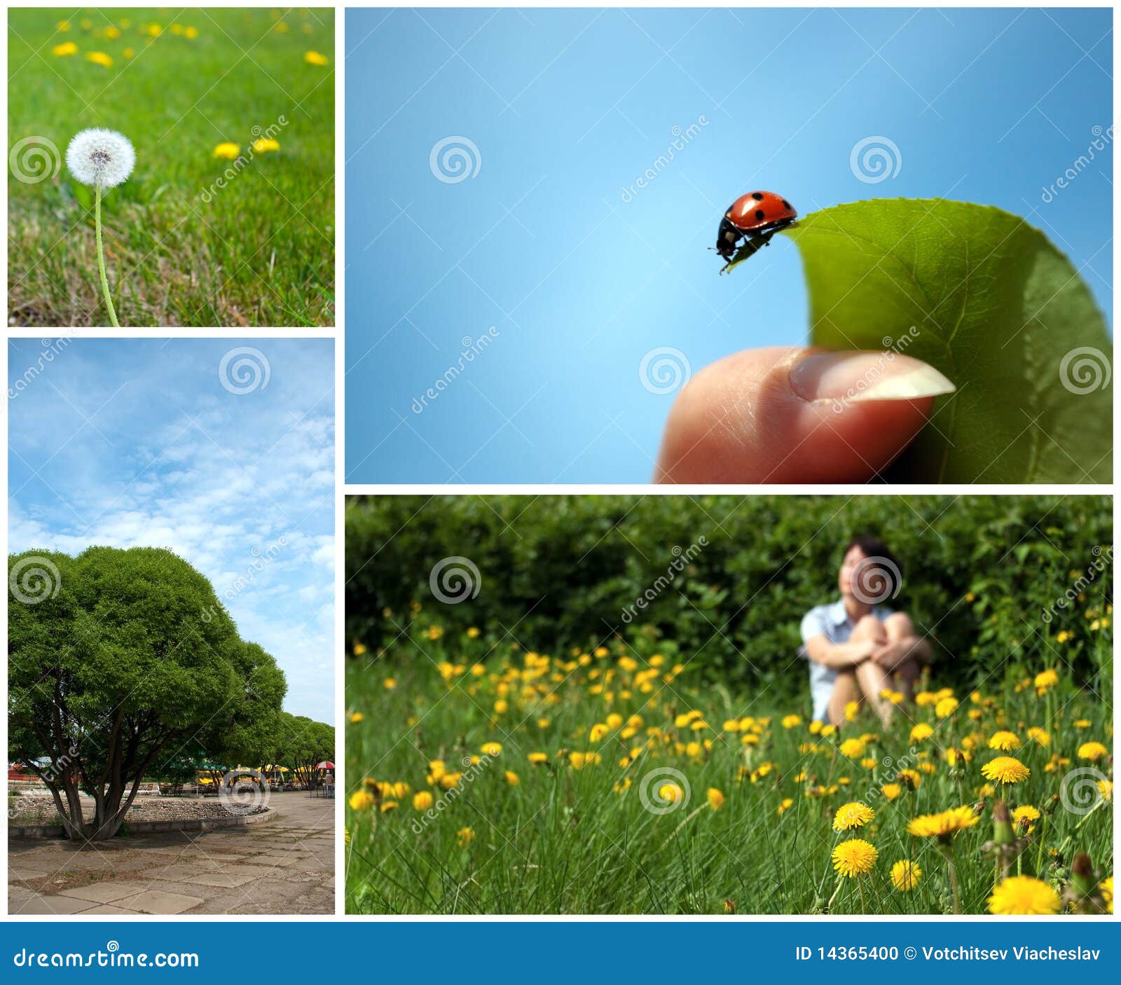 Summer collage stock photo. Image of collage, cloud, lawn - 14365400